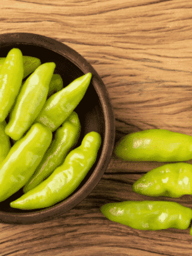 Como Cultivar Pimenta De Cheiro Através De Sementes - Terragam